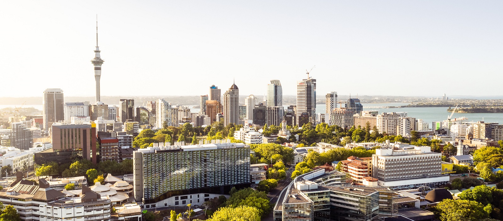 Steltech beams specs & dimensions